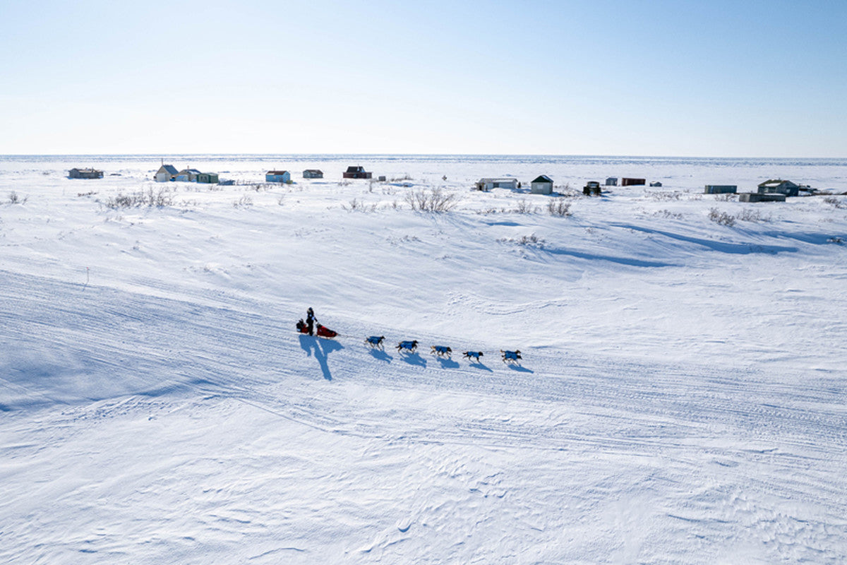 Anna Berington mushes onto the Nome River – Anchorage Daily News Store